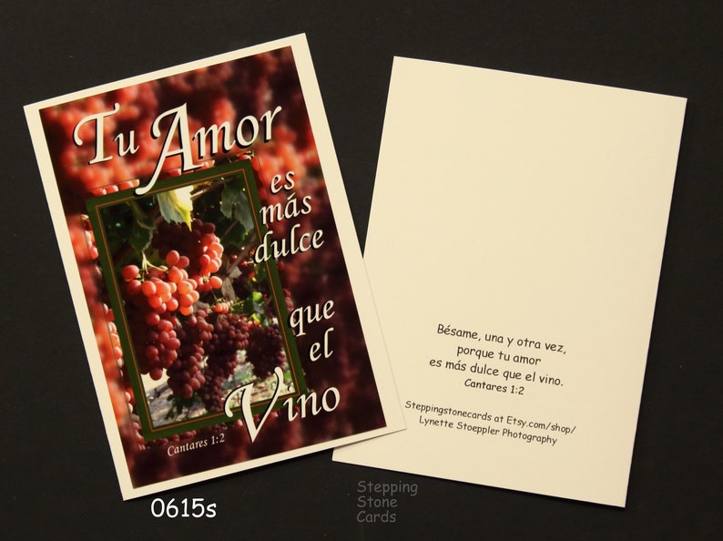 Set #105 Spanish Verses, Handmade Photo Greeting Card Set, Blank Note ...