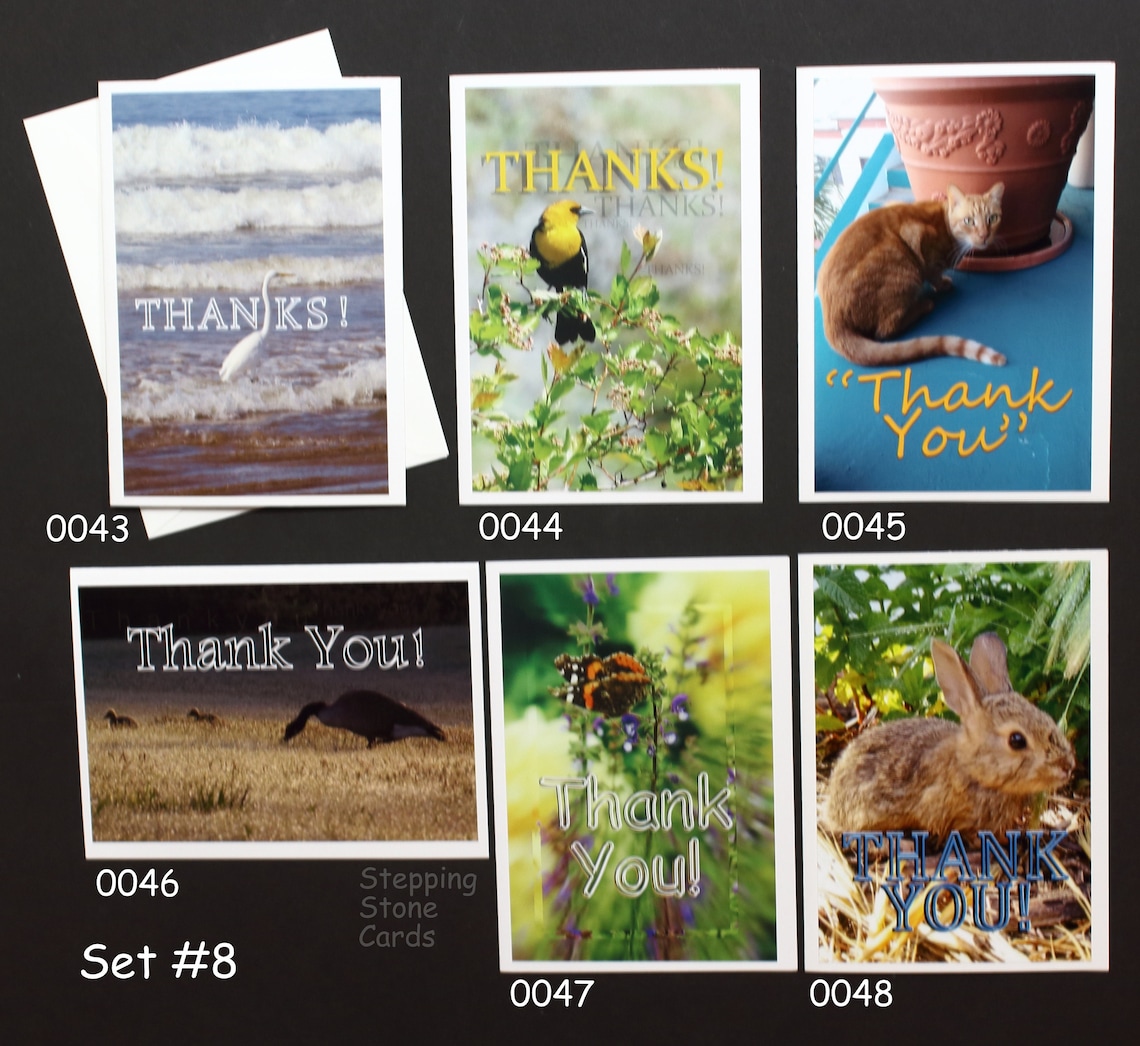 Set #8 Thankyou Creatures, Blank Note Cards, Handmade, Nature, Animal ...