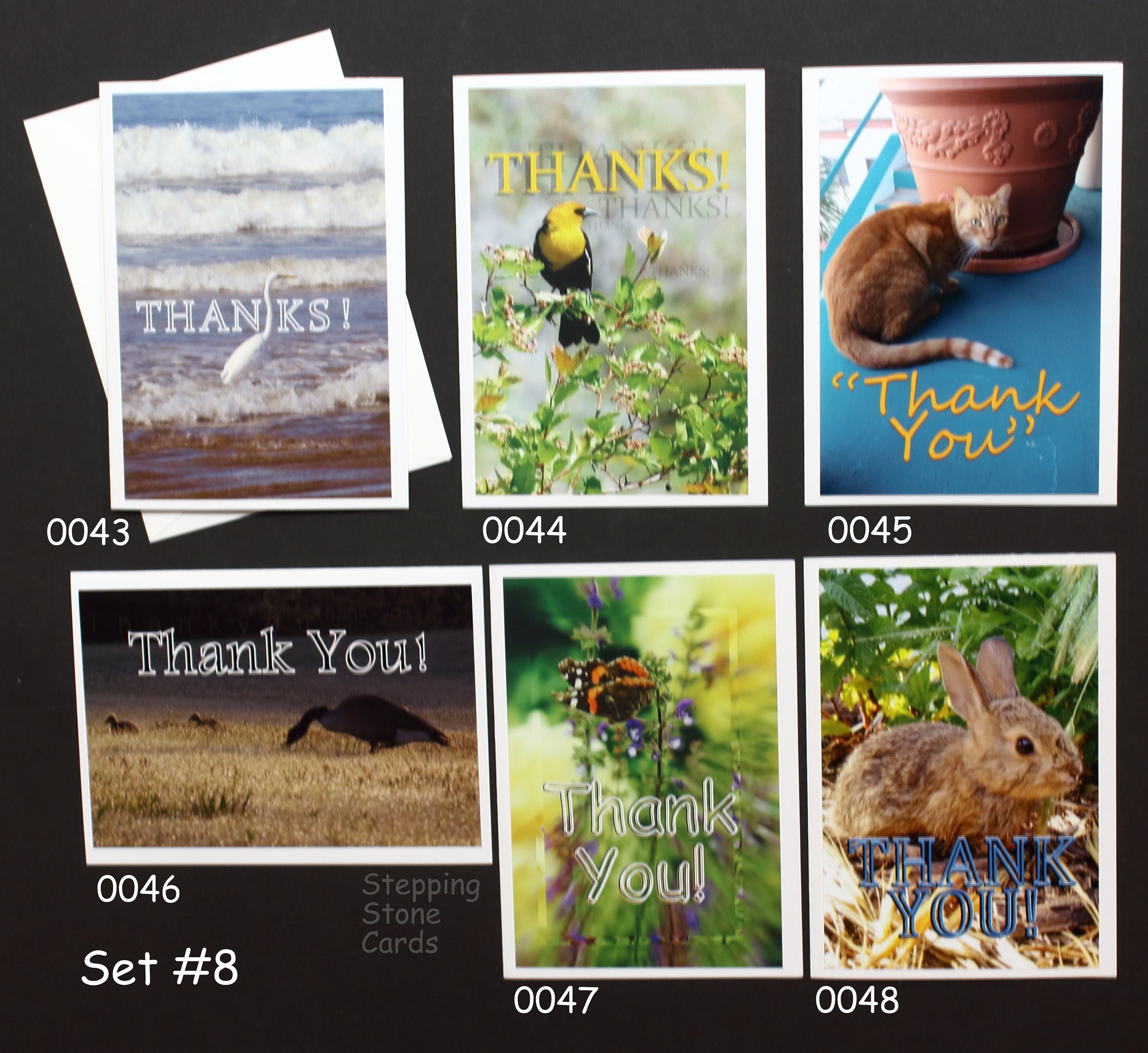 Set 8 Thankyou Creatures, Blank Note Cards, Handmade, Nature, Animal ...