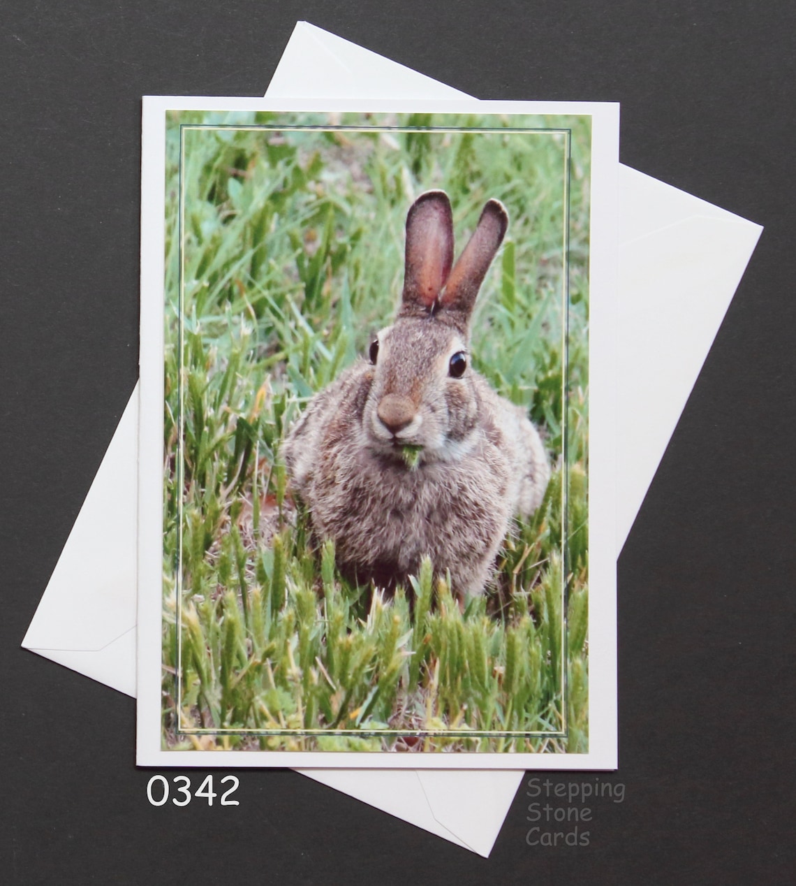 Set #58 Animals, Blank Note Cards, Handmade, Nature, Animal Lover ...