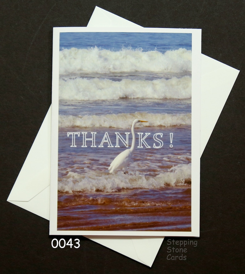 Set #8 Thankyou Creatures, Blank Note Cards, Handmade, Nature, Animal ...