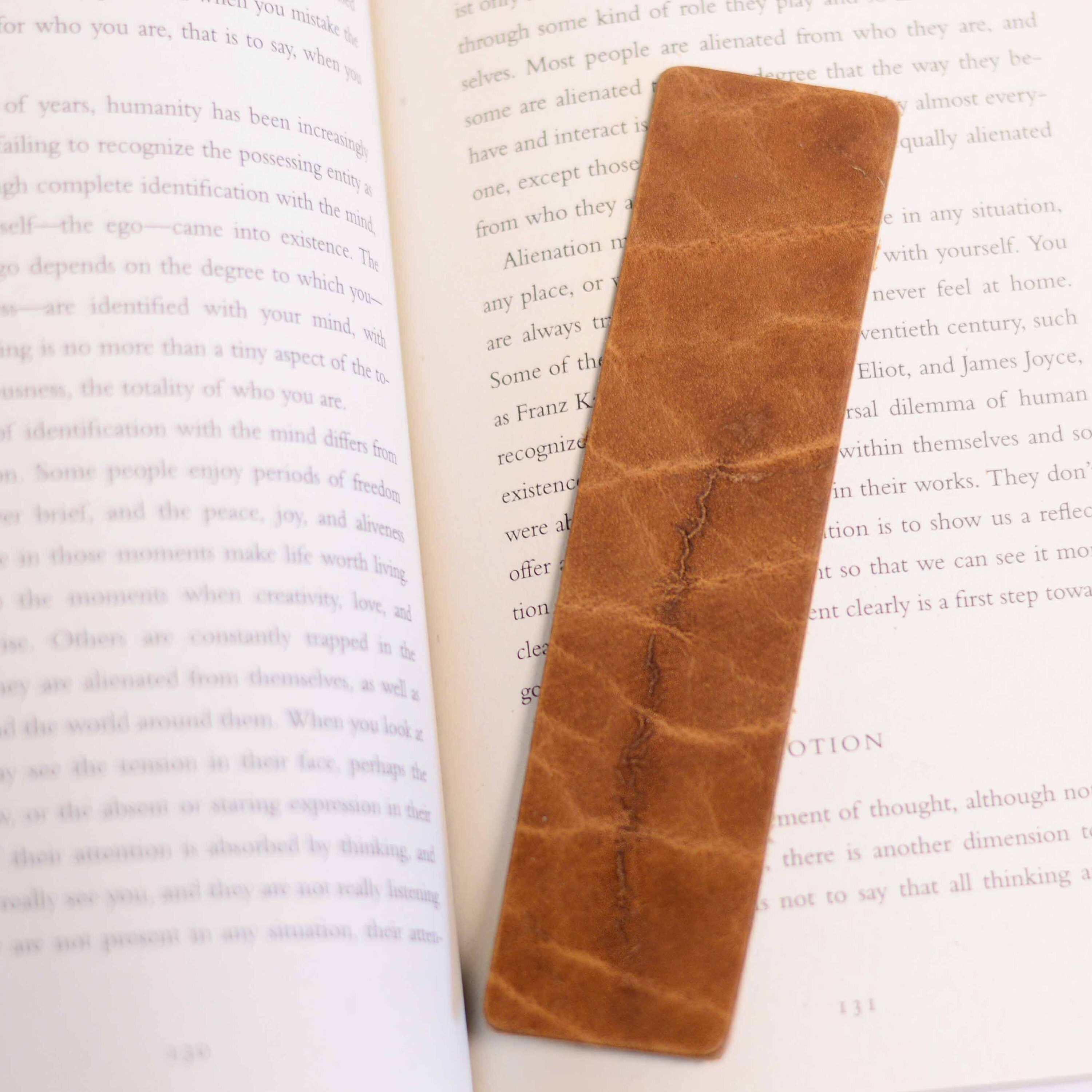 American Bison Scarred and Rustic Bookmark Naturally Occuring ...