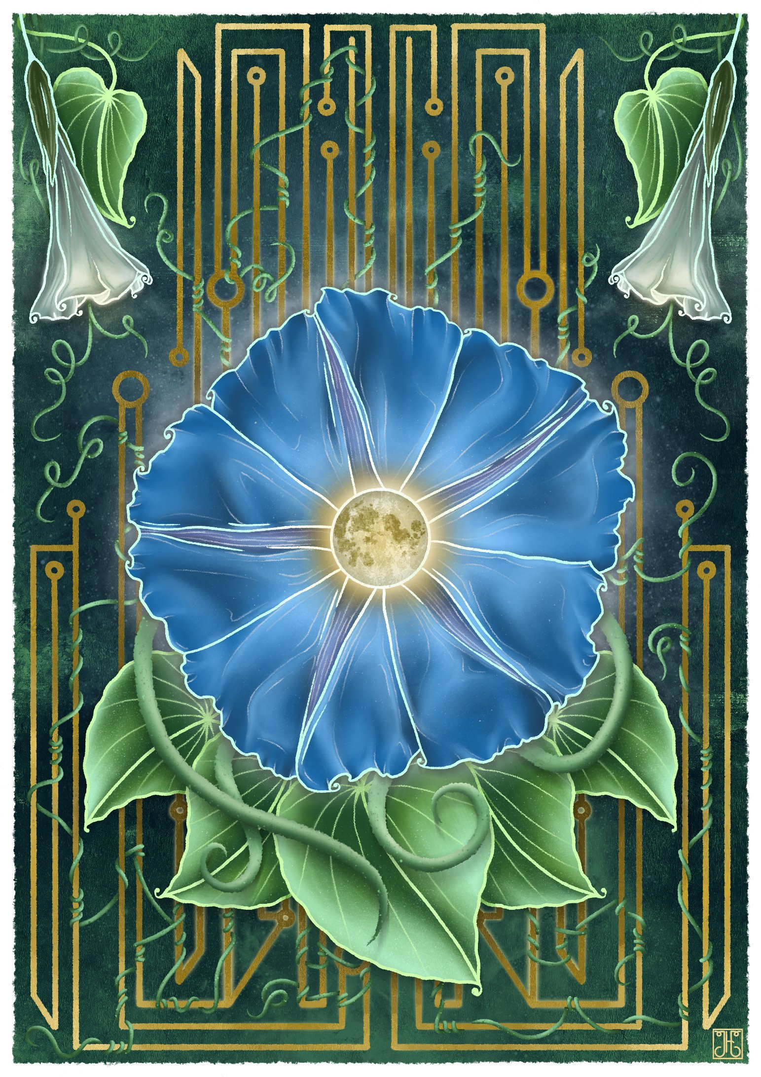 Moonflower Digital Art Print - Etsy