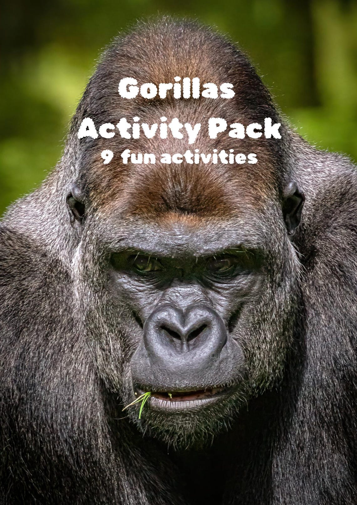Printable Gorilla Activity Pack | Fun & Educational Animal Worksheets ...
