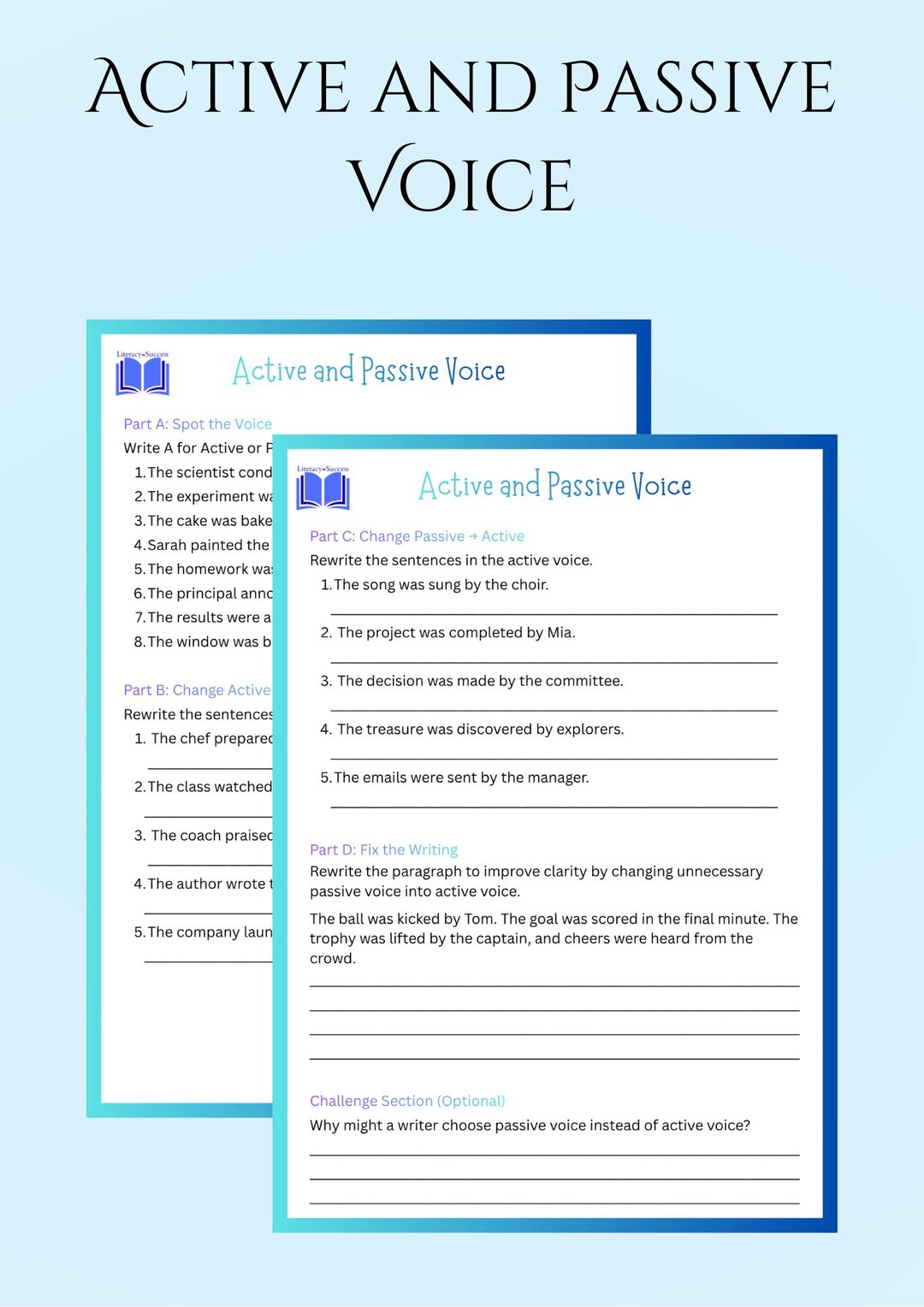 Active & Passive Voice – Printable Grammar Practice - Etsy