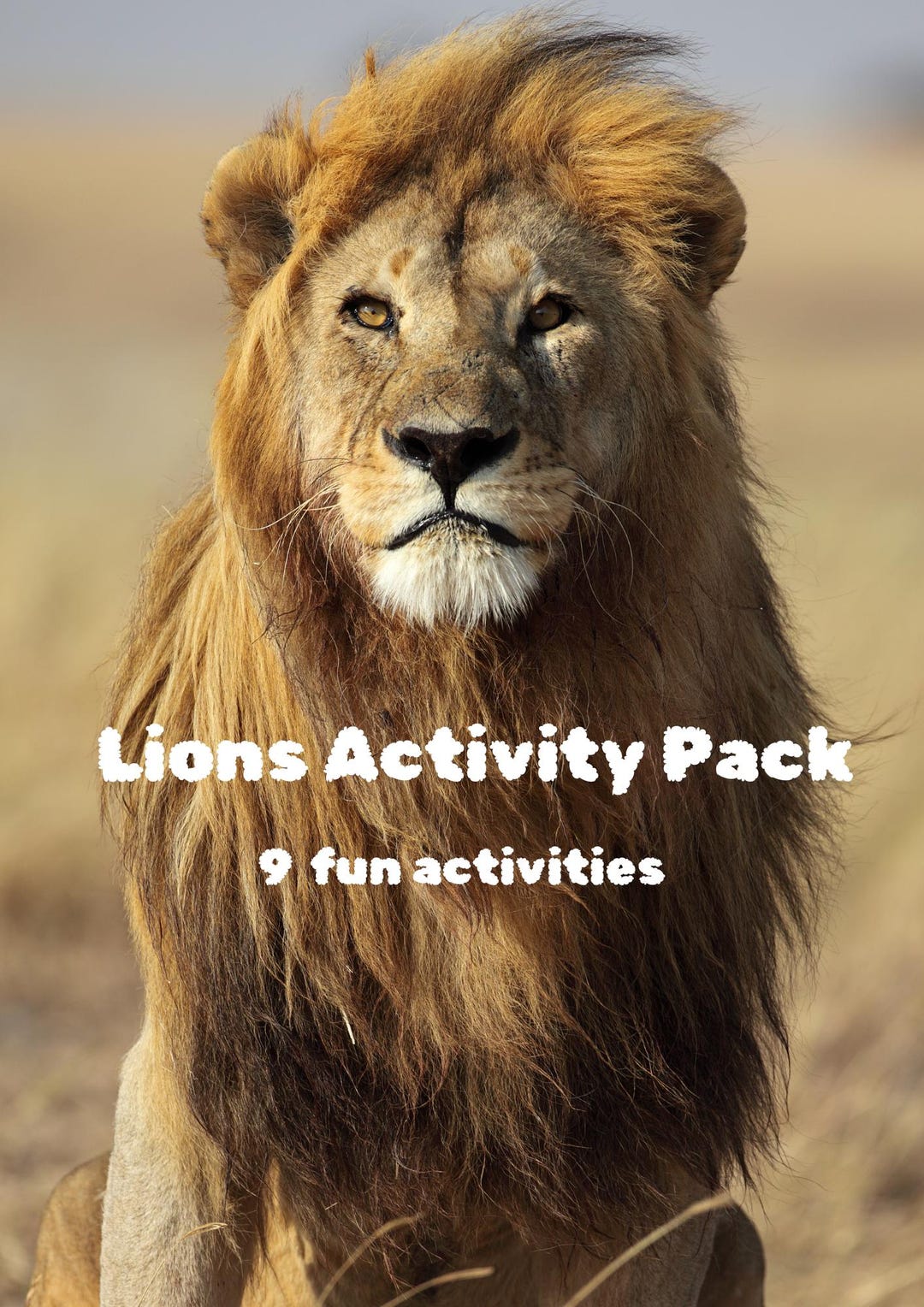 Lion Activity Pack: African Animals Worksheets, Maze, Coloring (PDF ...
