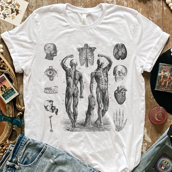 Anatomy T Shirt - Etsy
