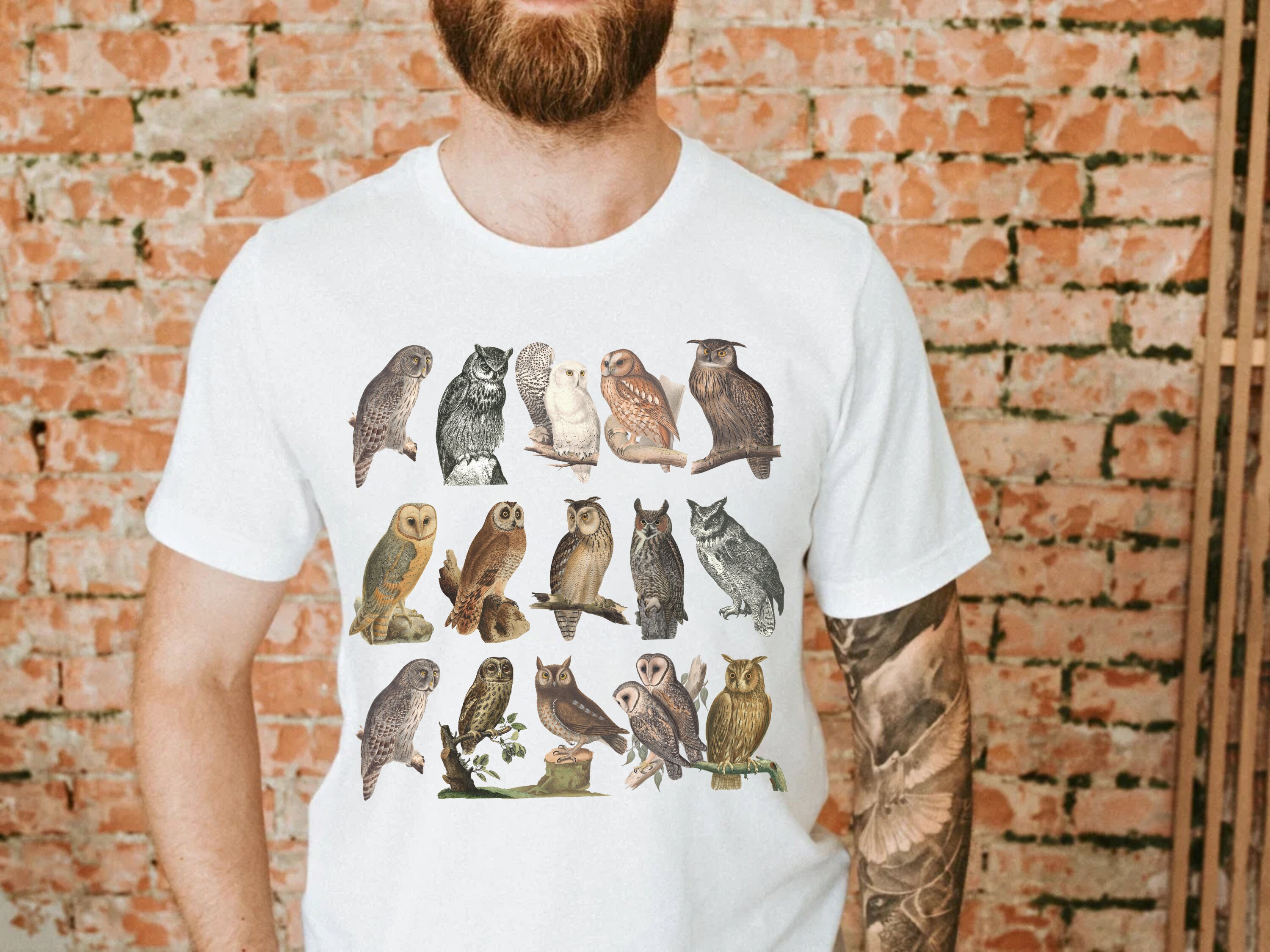 Vintage Owl Shirt • Naturalist Cottagecore Bird Tshirt • Boho ...