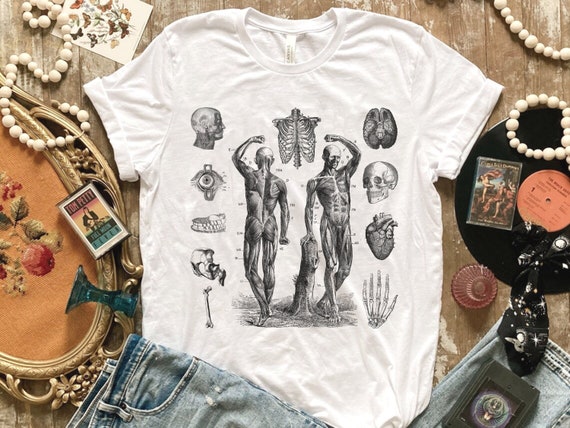Human Anatomy Art Graphic Tee Vintage Medical Biology Tshirt - Etsy