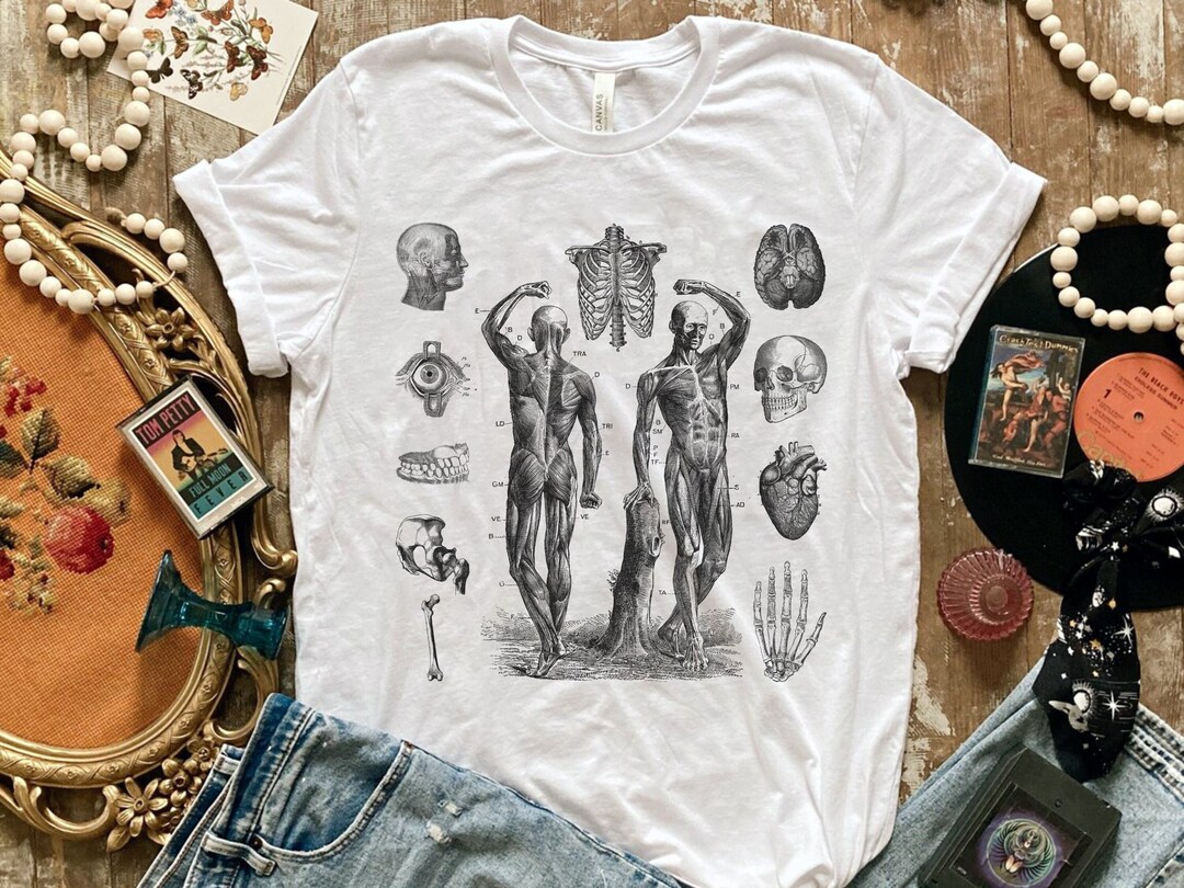 Human Anatomy Art Graphic Tee Vintage Medical Biology Tshirt Anatomical ...