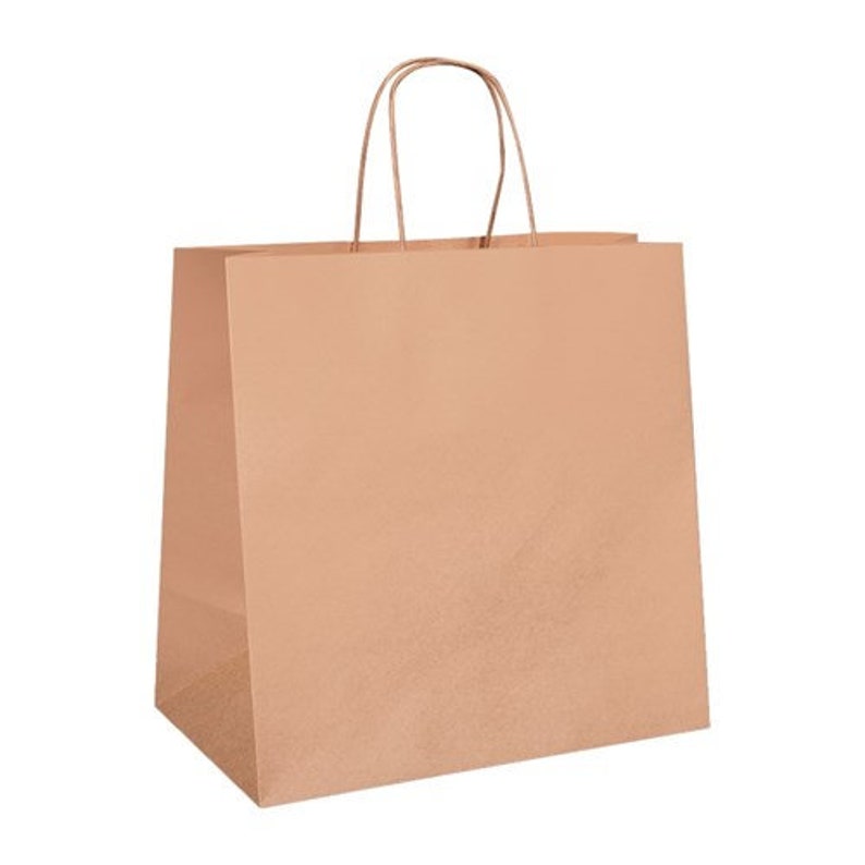 LARGE CARRY BAG Eco Paper Twist Handle Carry Bag Brown Large ...