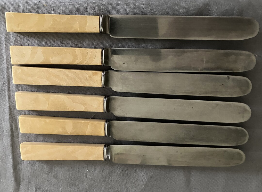 Set of Bone Handled Dinner Knives by Birks - Etsy