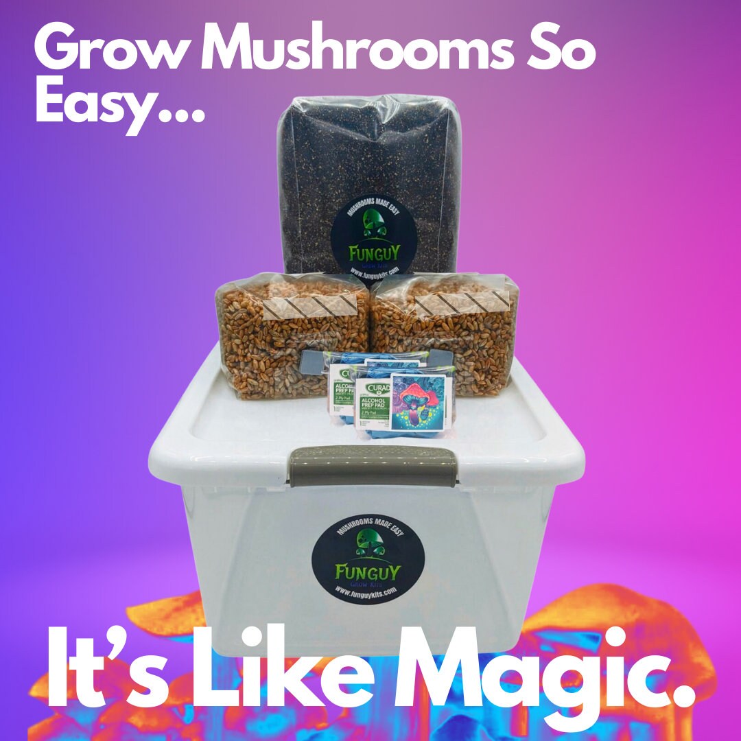 Mushroom Growing Kit - Rye Grain Spawn Bags Substrate + Monotub Grow ...