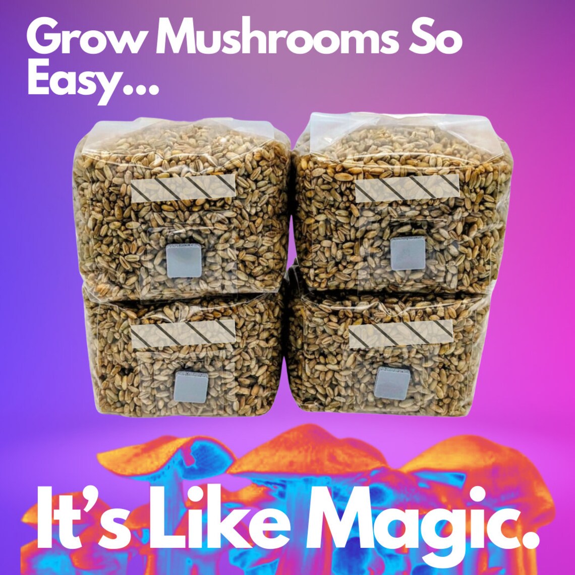 1lb Grow Mushrooms Grain Spawn Bags Rye Berries W/ Injection Ports 4pk ...