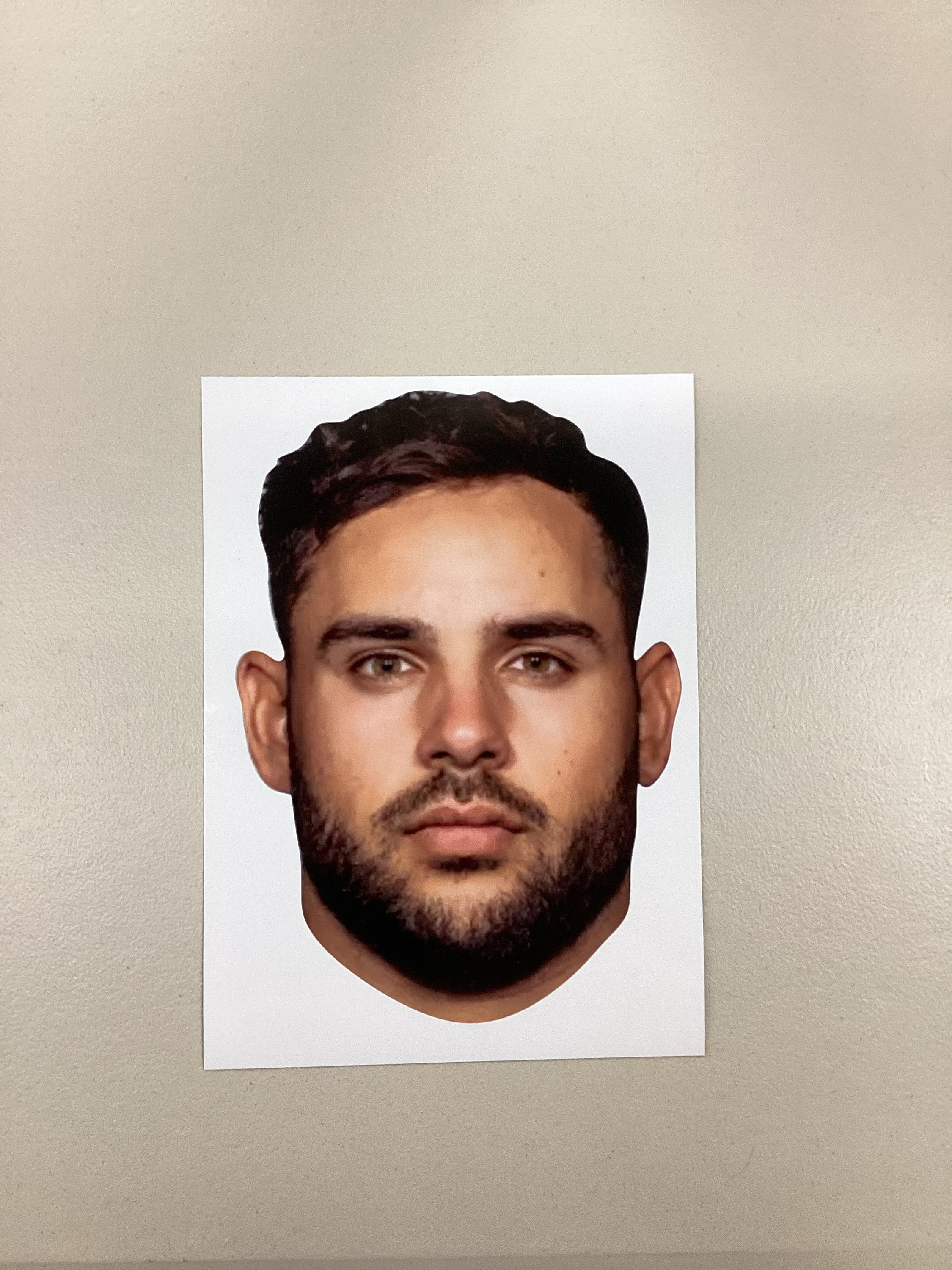 Matt Milano Sticker / Decal, Buffalo Bills Sticker / Decal, Buffalo ...