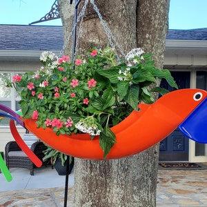 Oliver -- Orange Parrot With Bright Blue Beak and Multi-colored Tail ...