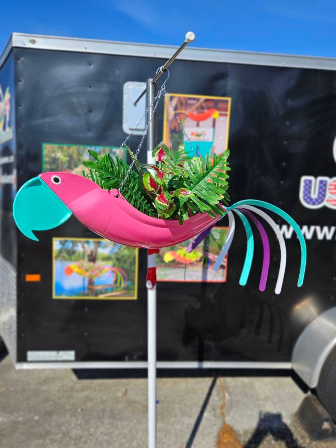 Meet "molly". A Bright Pink Parrot With a Beautiful Teal Beak With ...