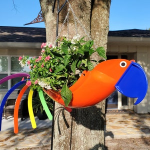 Oliver -- Orange Parrot With Bright Blue Beak and Multi-colored Tail ...
