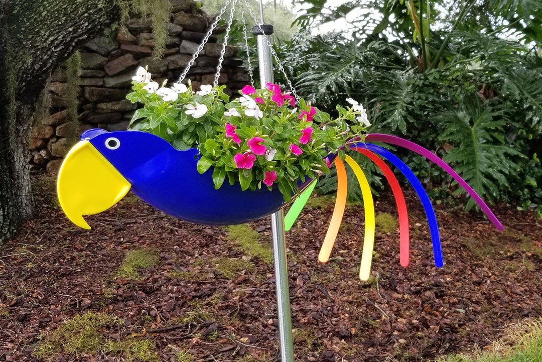 Buddy the Blue Parrot Lovely, a Very Deep Colored Blue That pops With ...