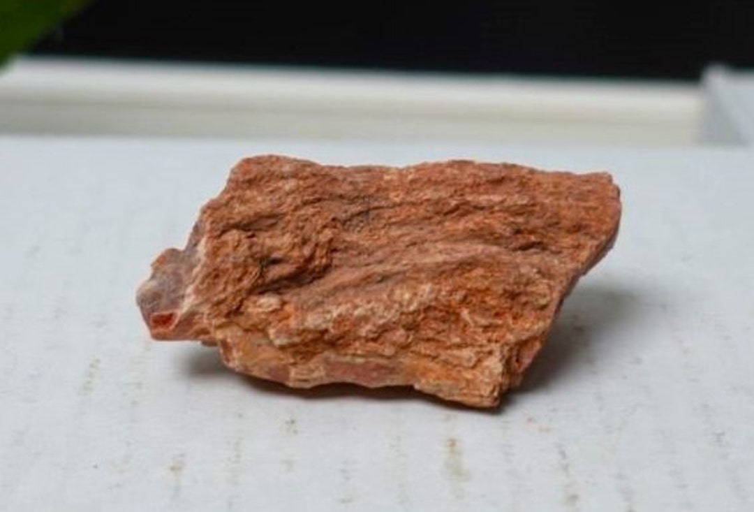 Petrified Wood Stone of Transformation - Etsy