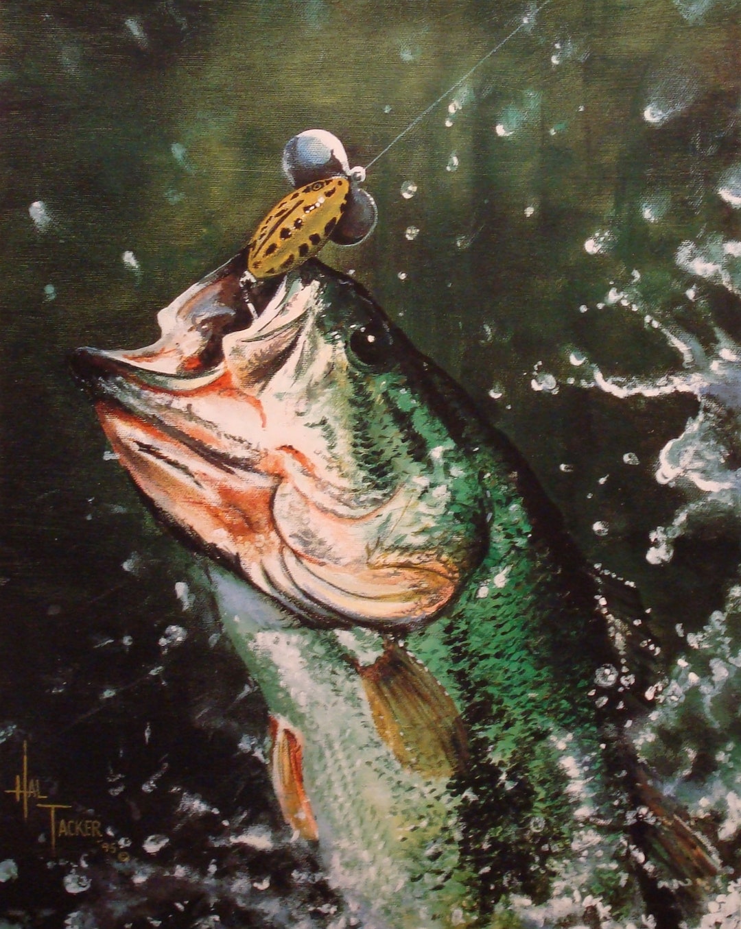 Jitterbug Largemouth Print Only Fine Art Prints Artwork Original ...