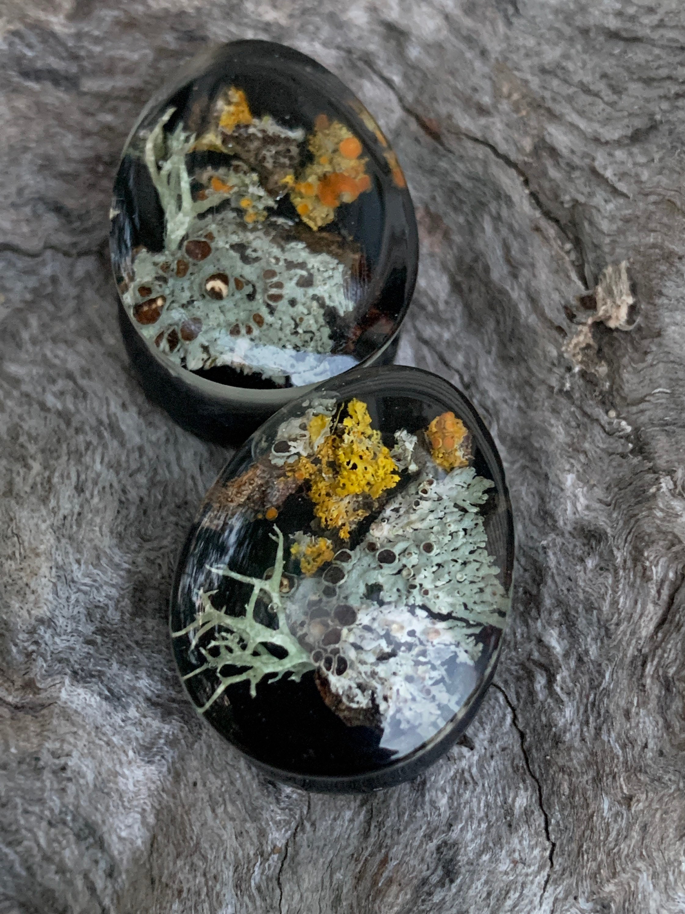 Lichen Plugs Botanical Gauges Moss Plugs Teardrop Ear - Etsy