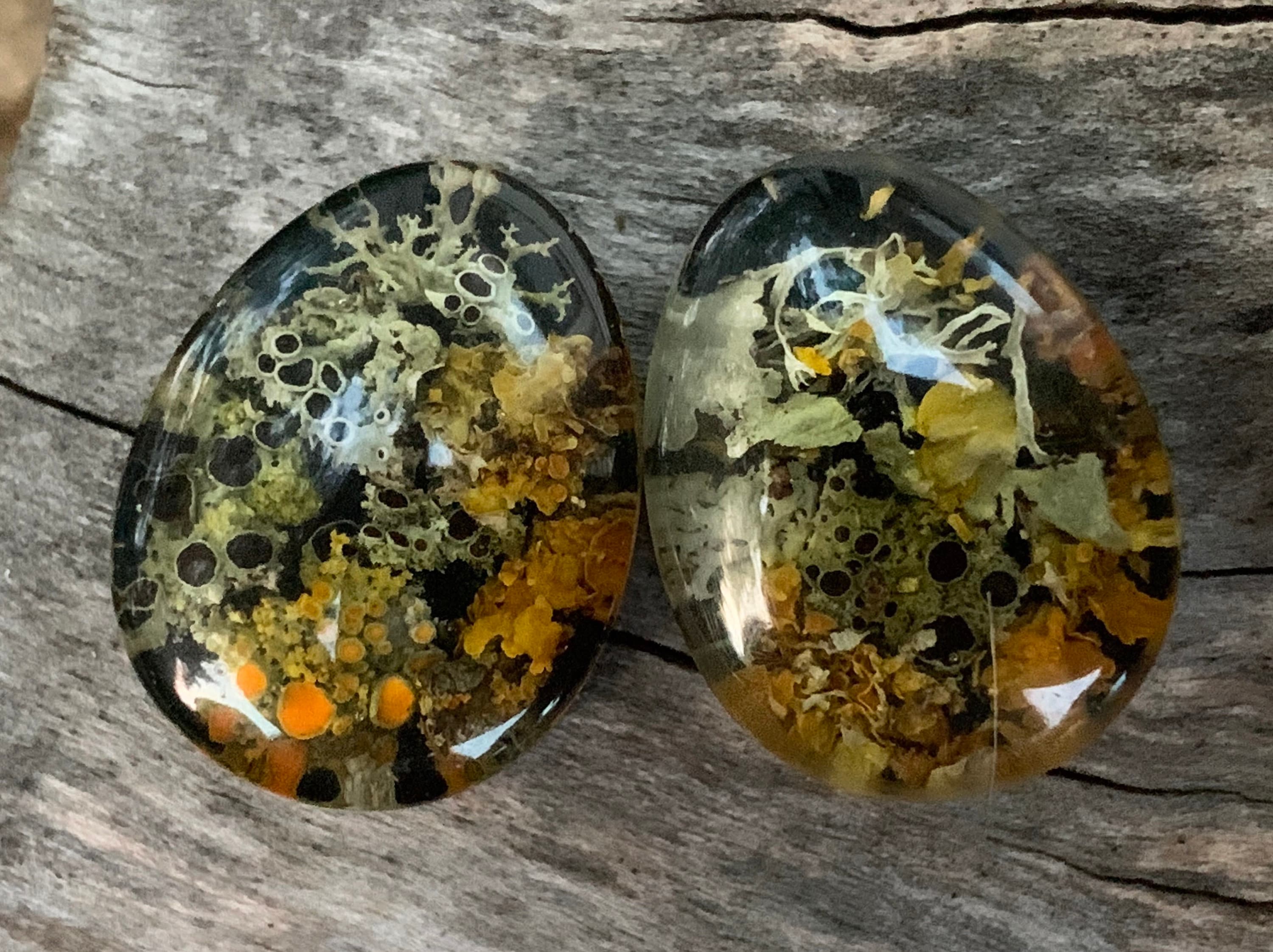 Lichen Plugs Botanical Gauges Moss Plugs Teardrop Ear - Etsy