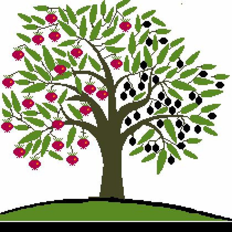 The Olive Pomegranate Tree - Etsy