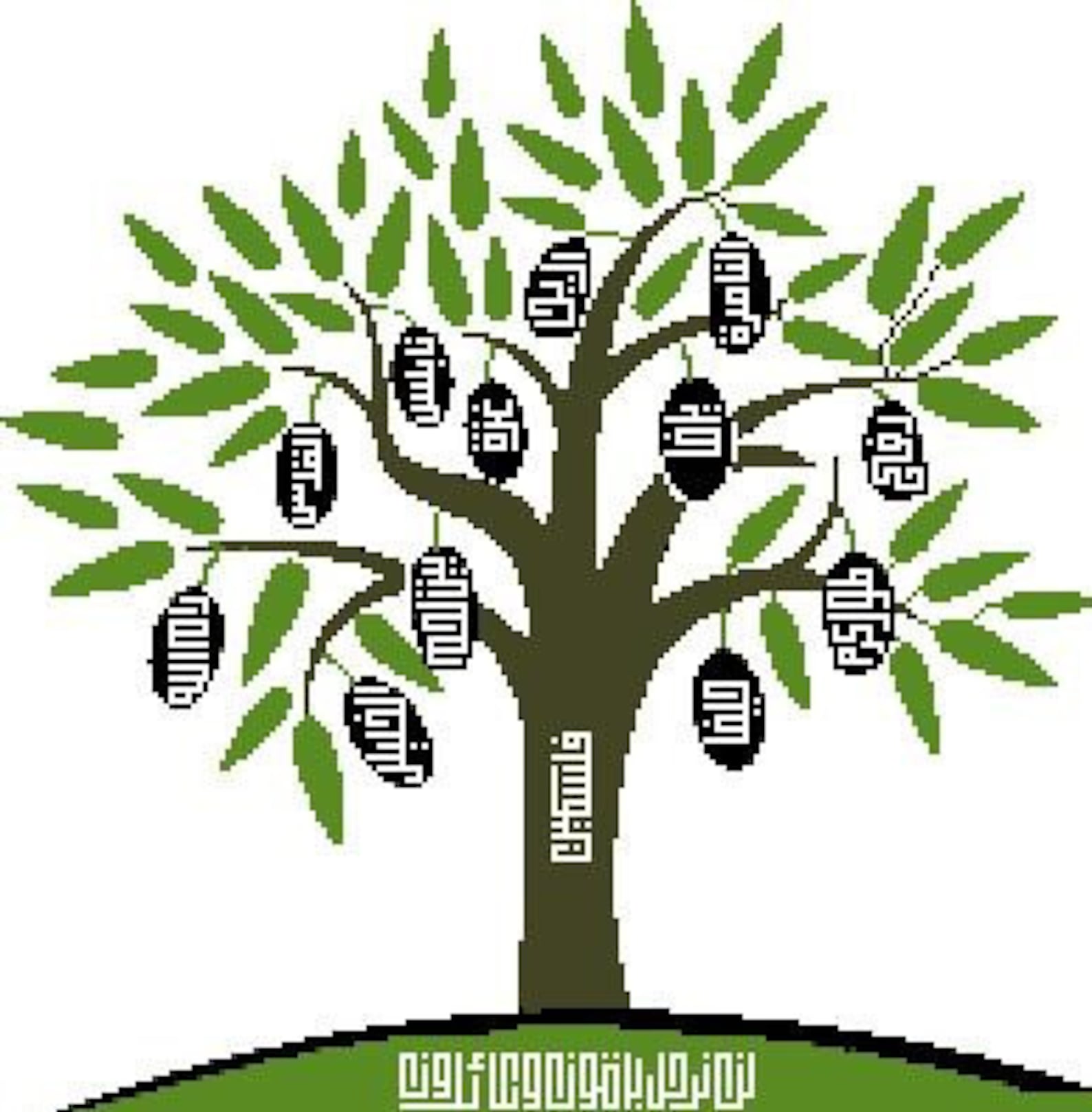 Palestinian Olive Tree - Etsy