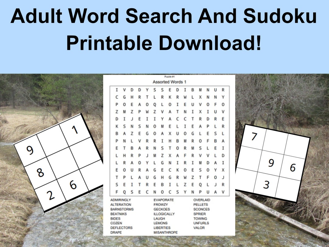 Word Search and Sudoku Puzzles-printable Download-bonus 150 Mazes With ...