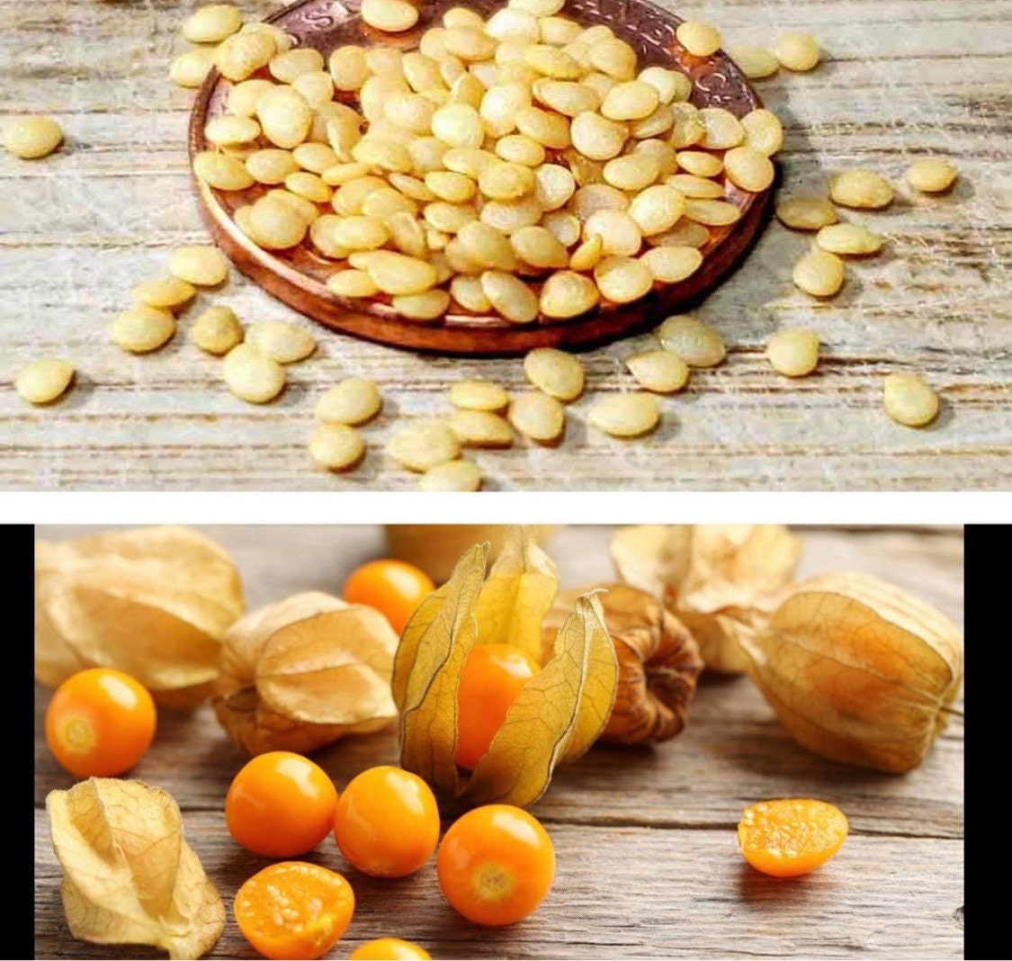 Ground Cherry-seeds - Etsy