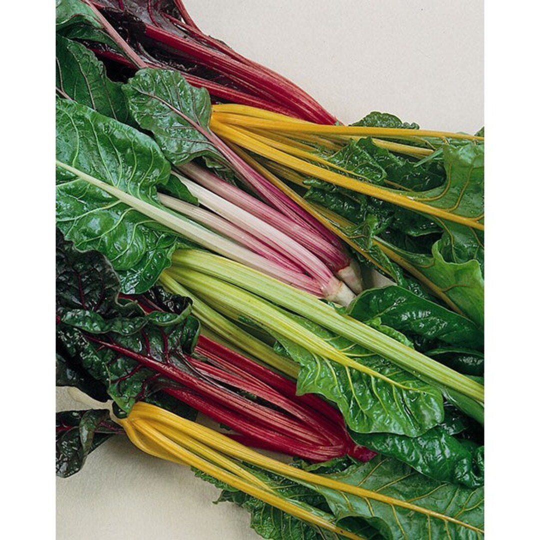 Swiss Chard Mixed Seeds - Etsy