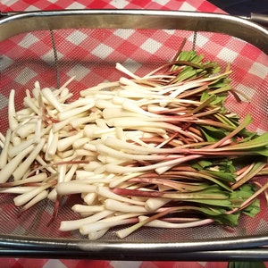 1 Ounce Bag Wild Ramps (leeks) Leaf Flakes. Dehydrated Ramps. Dried ...