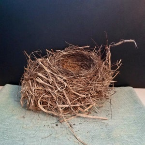 Real Straw and Mud Birds Nest, Robin Nest - Etsy