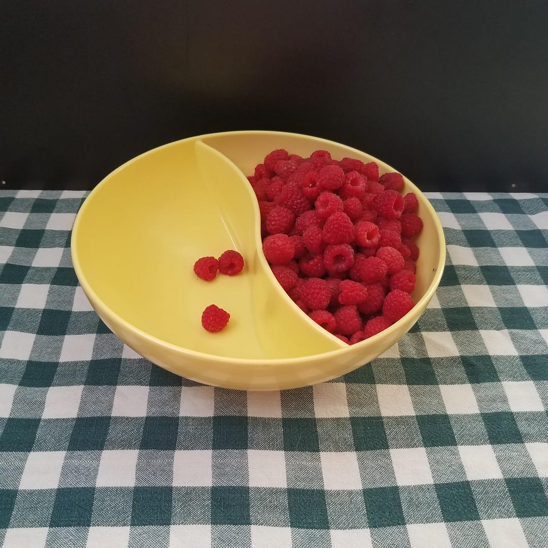 Retro Divided Melamine Bowl, Yellow Sun-valley Melmac Divided Serving ...
