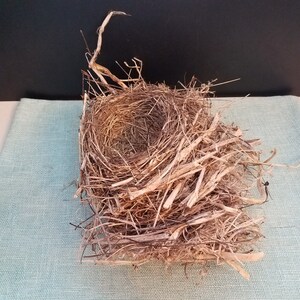 Real Straw and Mud Birds Nest, Robin Nest - Etsy