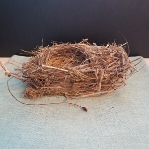 Real Straw and Mud Birds Nest, Robin Nest Natural Bird Nest - Etsy