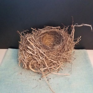 Real Straw and Mud Birds Nest, Robin Nest - Etsy