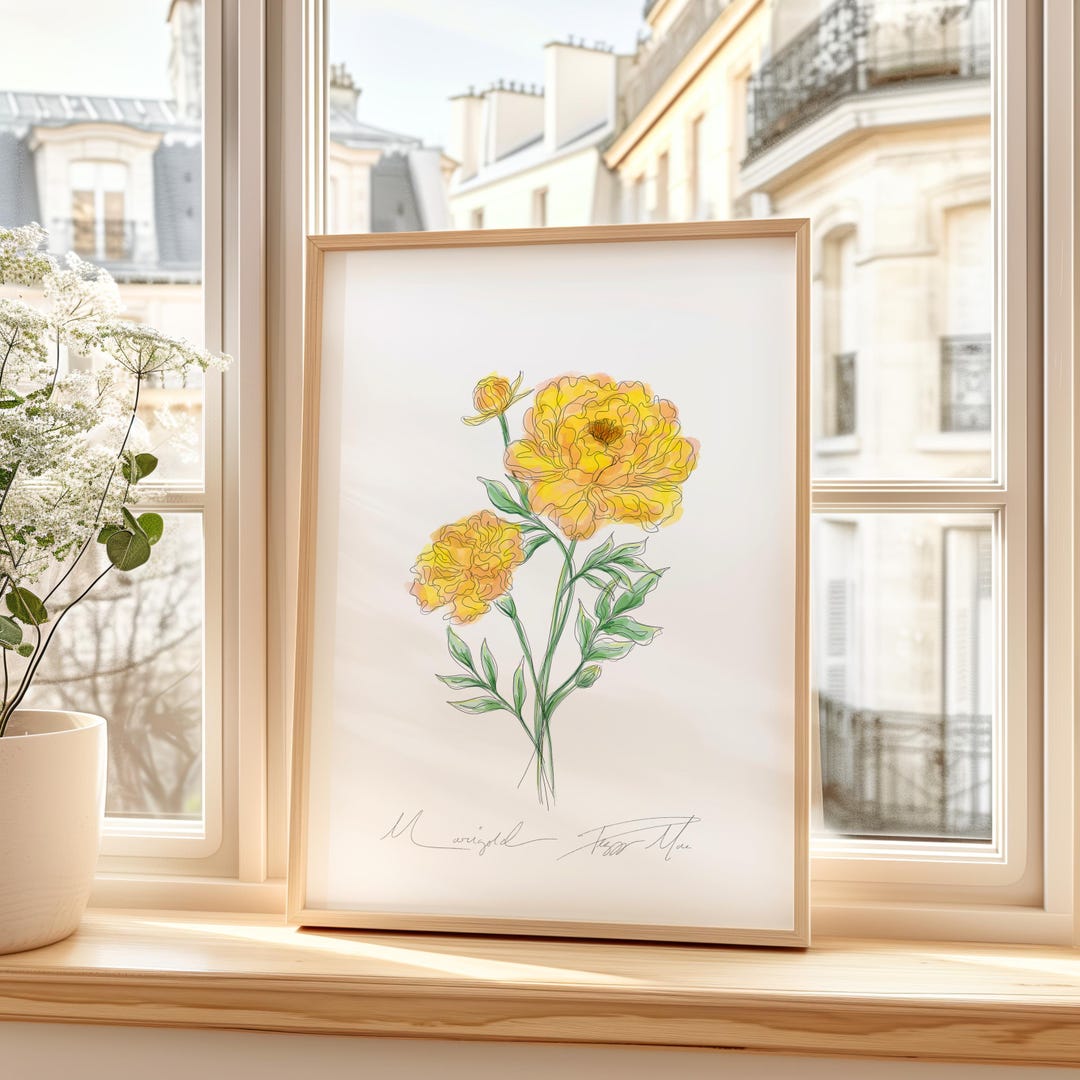 Marigold | October Birth Flower - Etsy