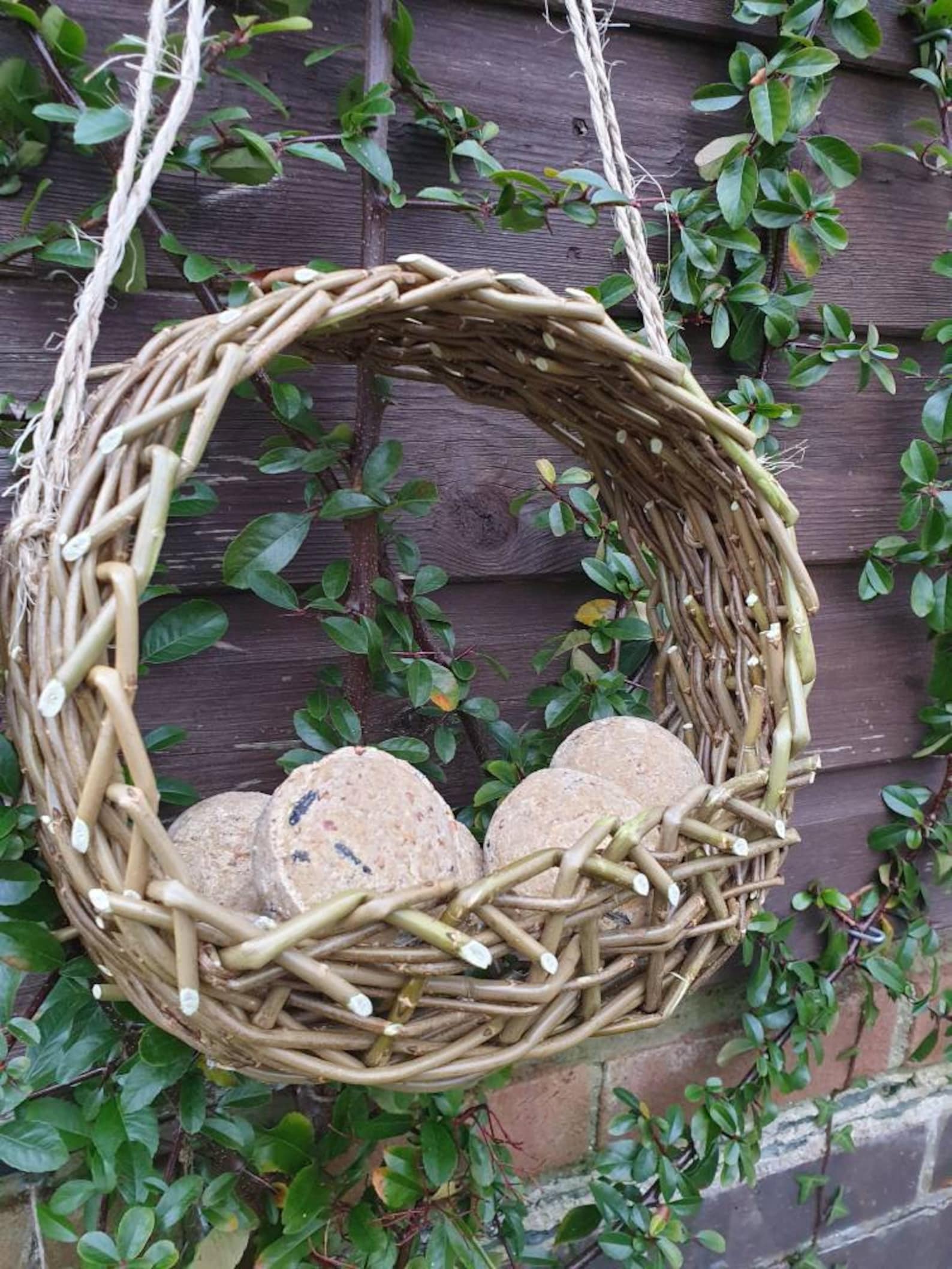 Window Bird Feeder Willow Fat Ball Holder/ Handmade Rustic - Etsy