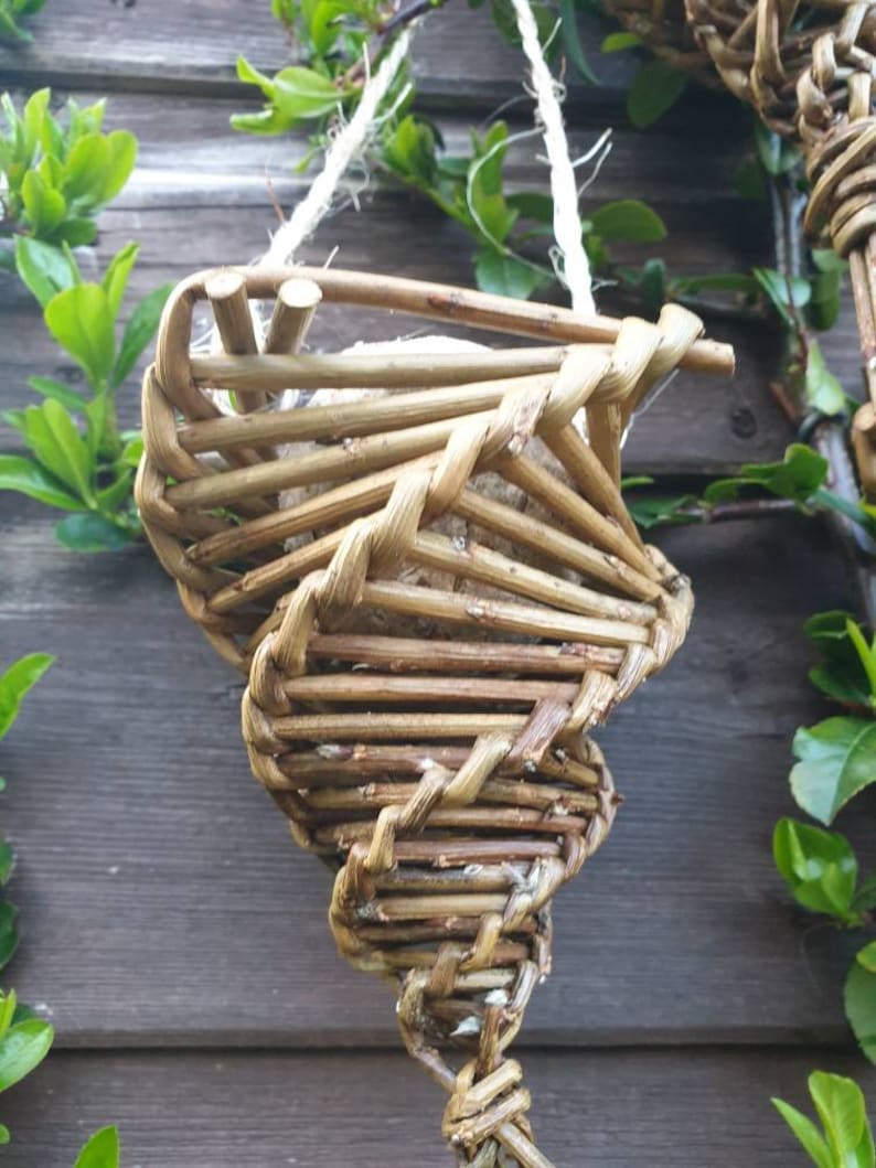 Willow Craft Kit Make Your Own Bird Feeder/ Willow Weaving - Etsy