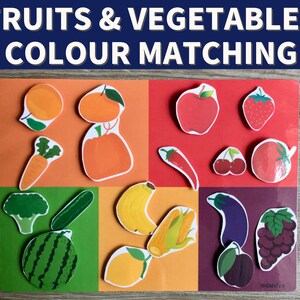 Fruit Vegetable Food Bundle Busy Book Printable, Homeschool Learning ...