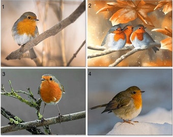 Robin Paint by Number | Etsy