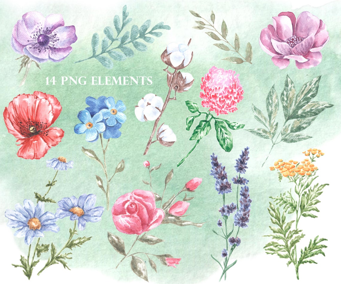 Flowers watercolor clipart. Wildflowers clipart. Watercolor | Etsy