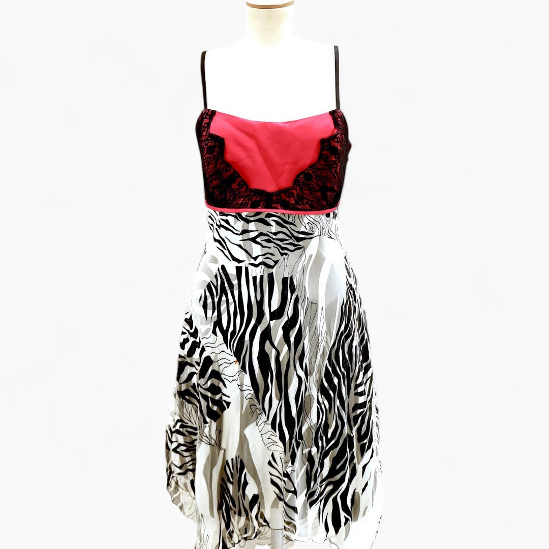 Vintage Zebra Print Dress - Sheer Silk Overlay - Red and Black Lace ...