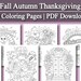 Adult Coloring Book: Autumn/thanksgiving/fall Coloring Pages for Adults ...