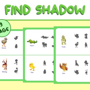 Find the Correct Shadow, Kids Learning Activity, Preschool Worksheets ...