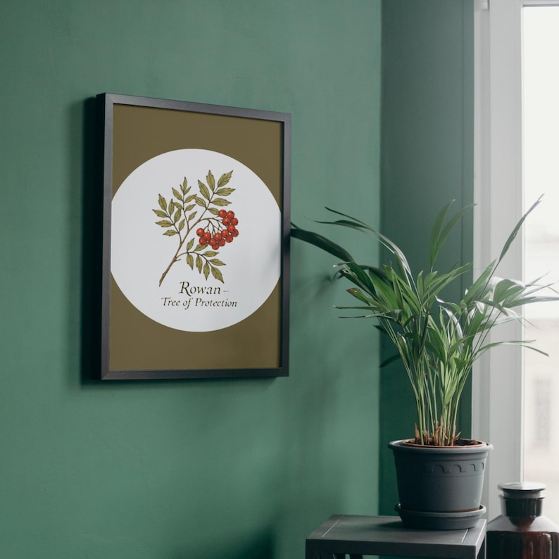 Rowan Tree Botanical Print: Celtic Folklore Illustration (digital ...