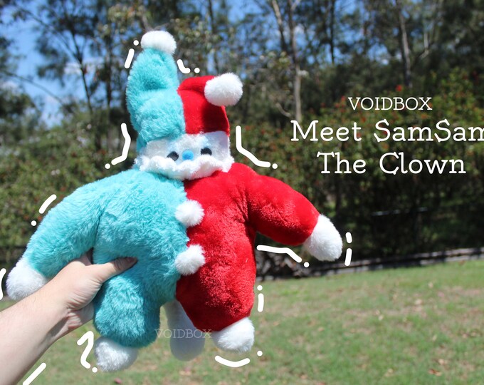 Meet Samsam the Split Coloured Clown Handmade Clowncore Plushy - Etsy