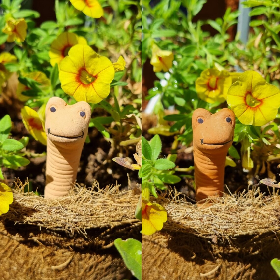 Terracotta Willy Worm Water Sensor - Smiling Plant Pal (10cm) - Etsy UK